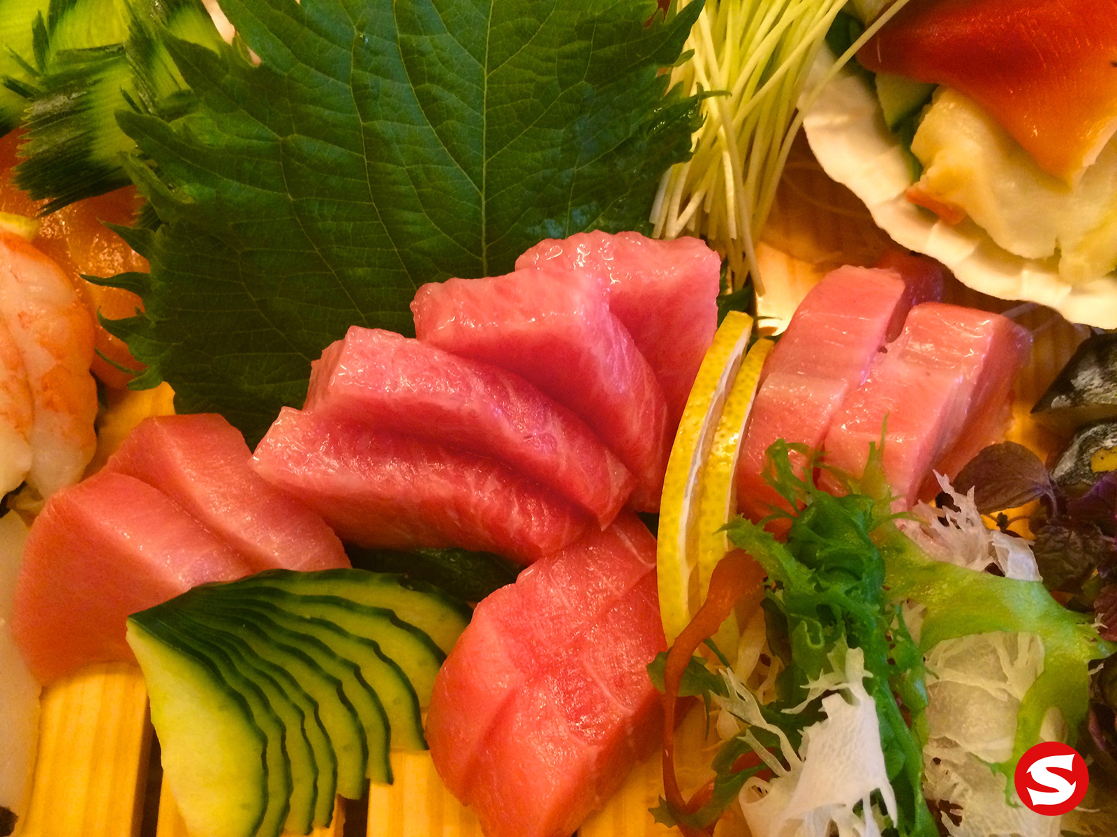 Matsumi - An Amazing Japanese Experience | Sushi Guide